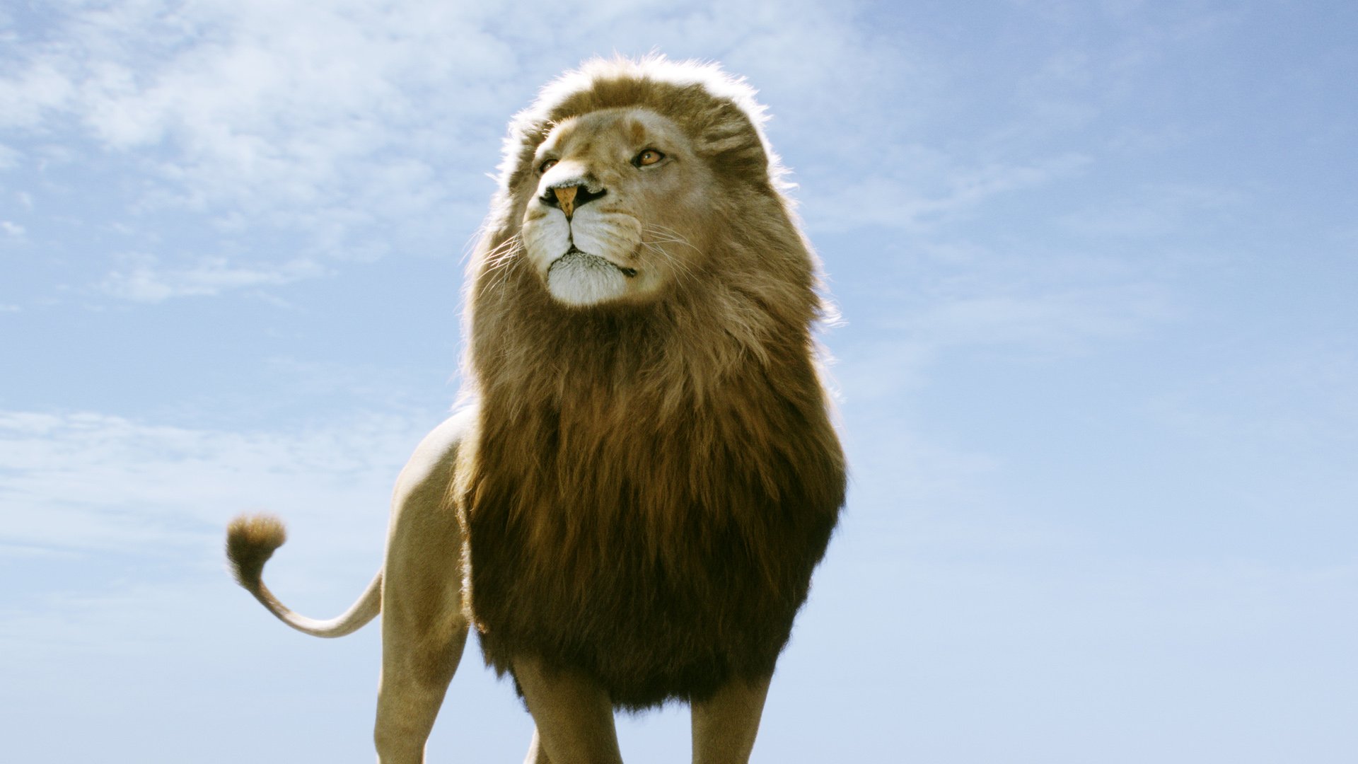 To Know What Could Have Been — Conciliar Post